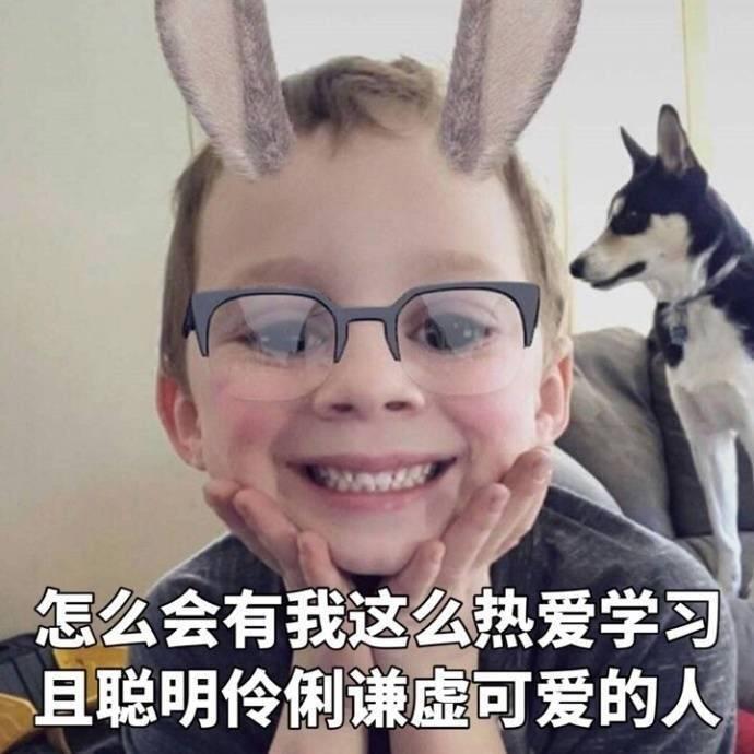 有哪些关于学习的表情包？ 知乎