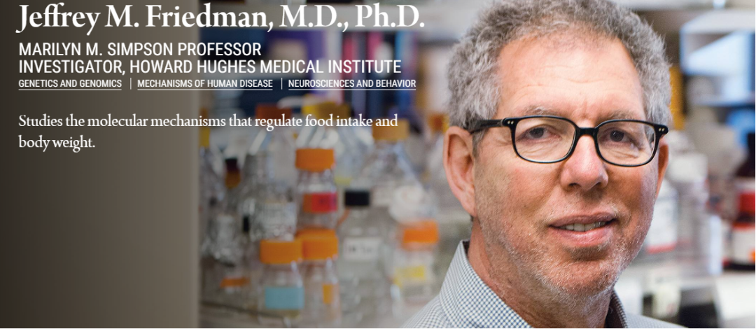 Nat Metab | 减肥新思路：靶向脑干内谷氨酸能神经元 - 知乎