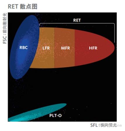 CELLPACK DFL - 知乎