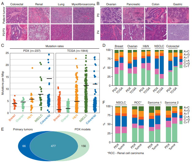 关于PDX模型你想知道的一切 - 知乎