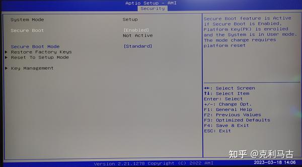 AMI BIOS 选项展示及部分解释(by ChatGPT) - 知乎