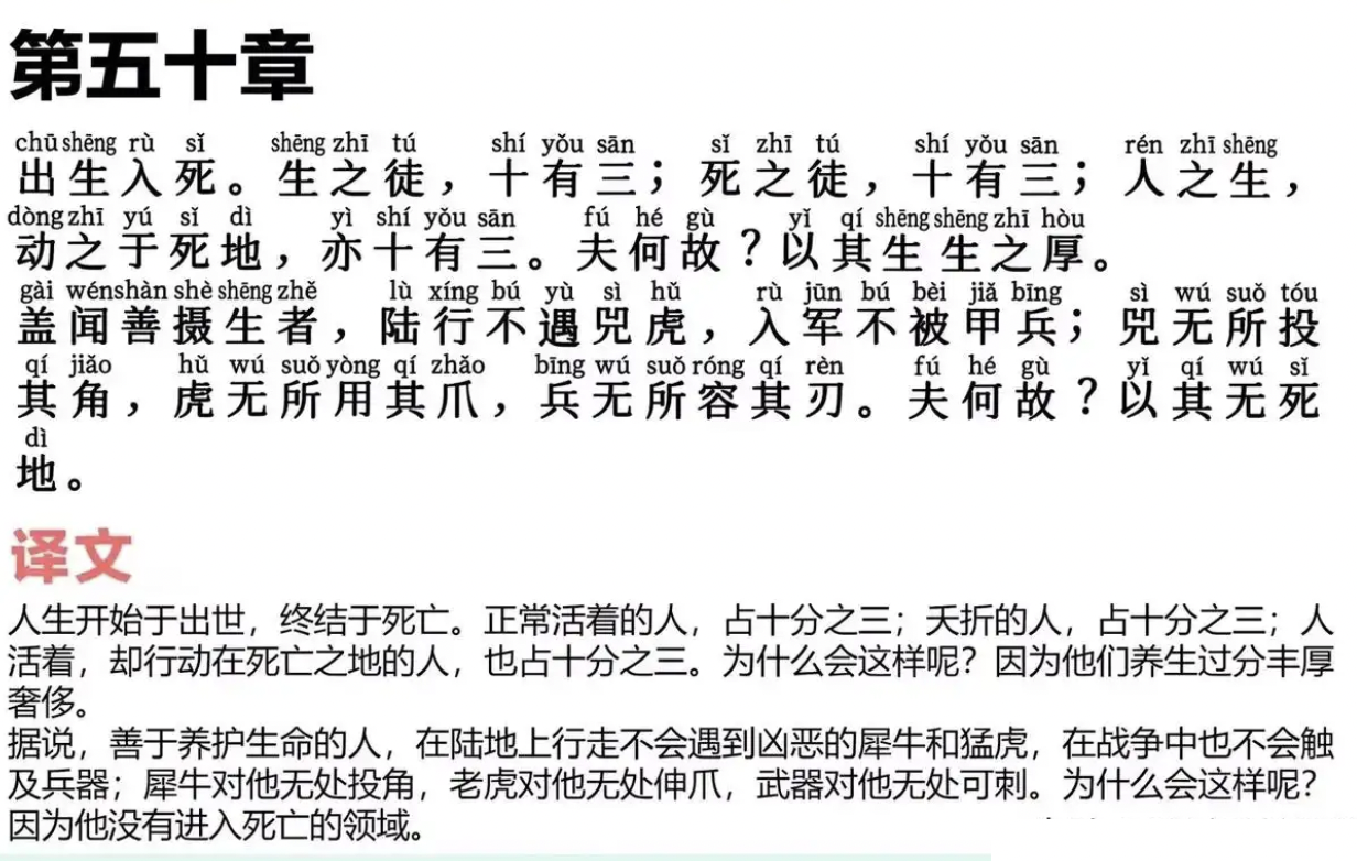 [oeasy]python050_如何删除变量_del_delete_variable - 知乎