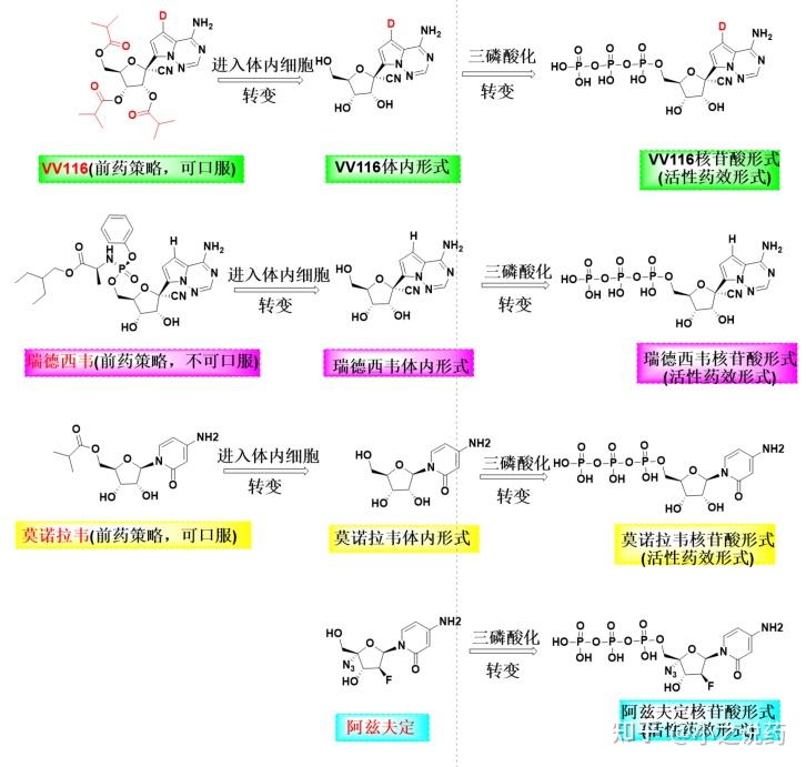 Paxlovid、莫诺拉韦、阿兹夫定、VV116、恩昔特韦、连花清瘟、清肺排毒，谁才是真正的新冠“特效药” - 知乎