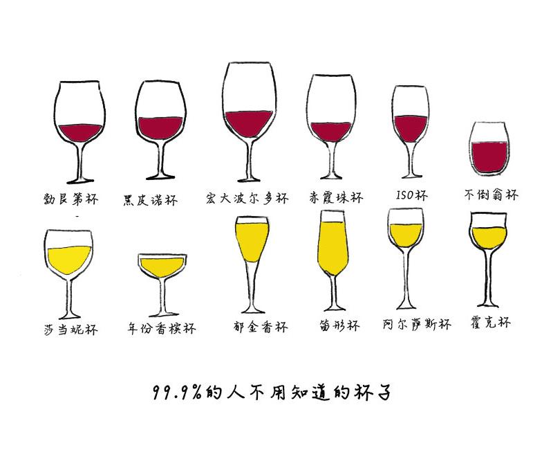怎样挑选红酒杯? 知乎