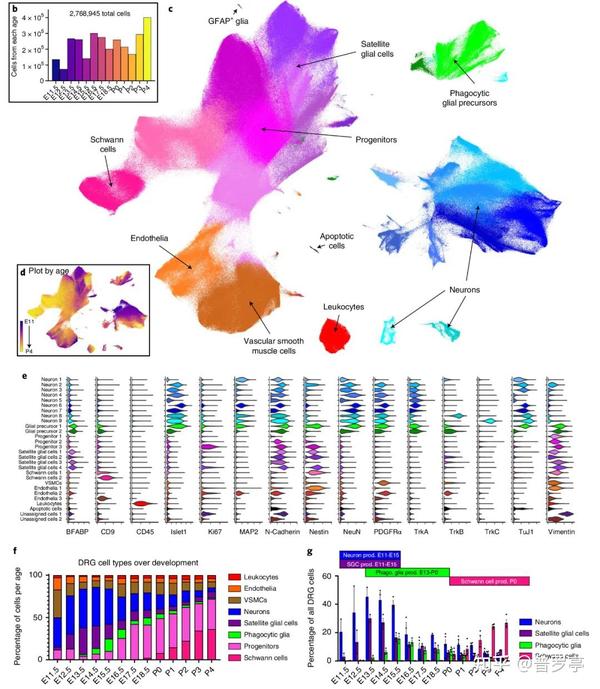 【文献分享，IF=28.77】首次通过CyTOF揭秘体感系统发育图谱 - 知乎