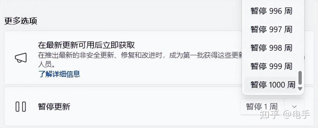 唯一无副作用禁用Win10/11更新方法，一键暂停1000周 - 知乎