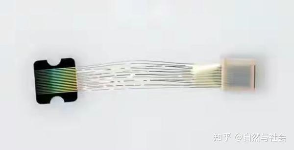 神经连接(Neuralink)可能是AI进化的最关键节点 - 知乎