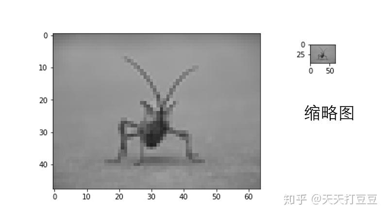 matplot--处理image - 知乎