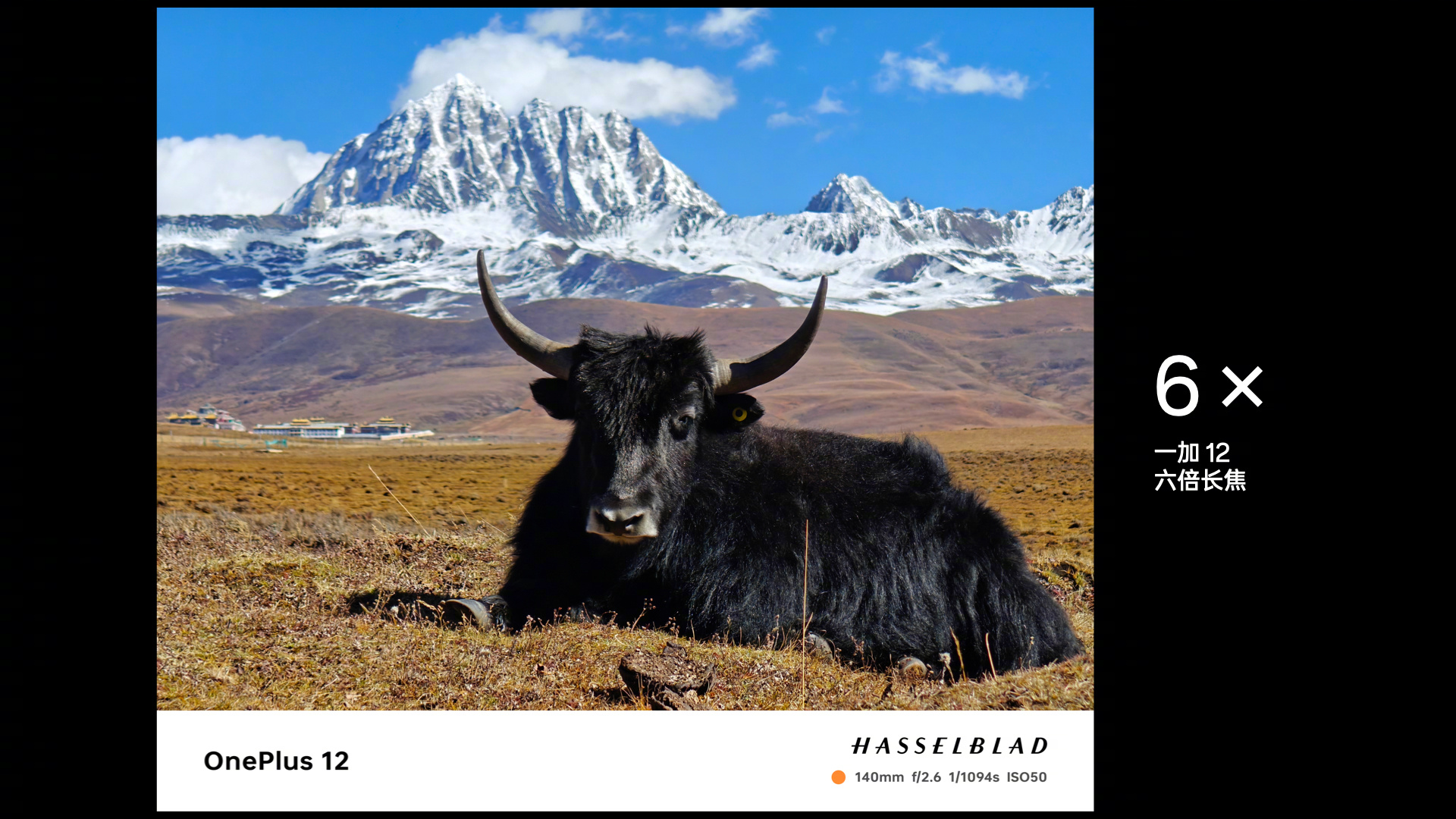 压力给到友商Pro，一加12影像：索尼光喻LYT-808+超光影潜望长焦 - 知乎