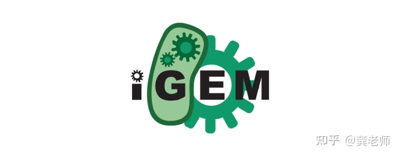 2023国际遗传工程机器大赛（iGEM）启动，组队报名进行中！ - 知乎