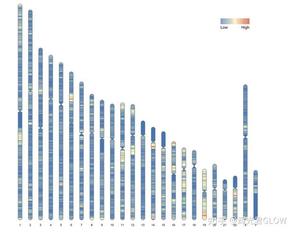 生信软件5 - RIdeogram包绘制染色体密度图 - 知乎