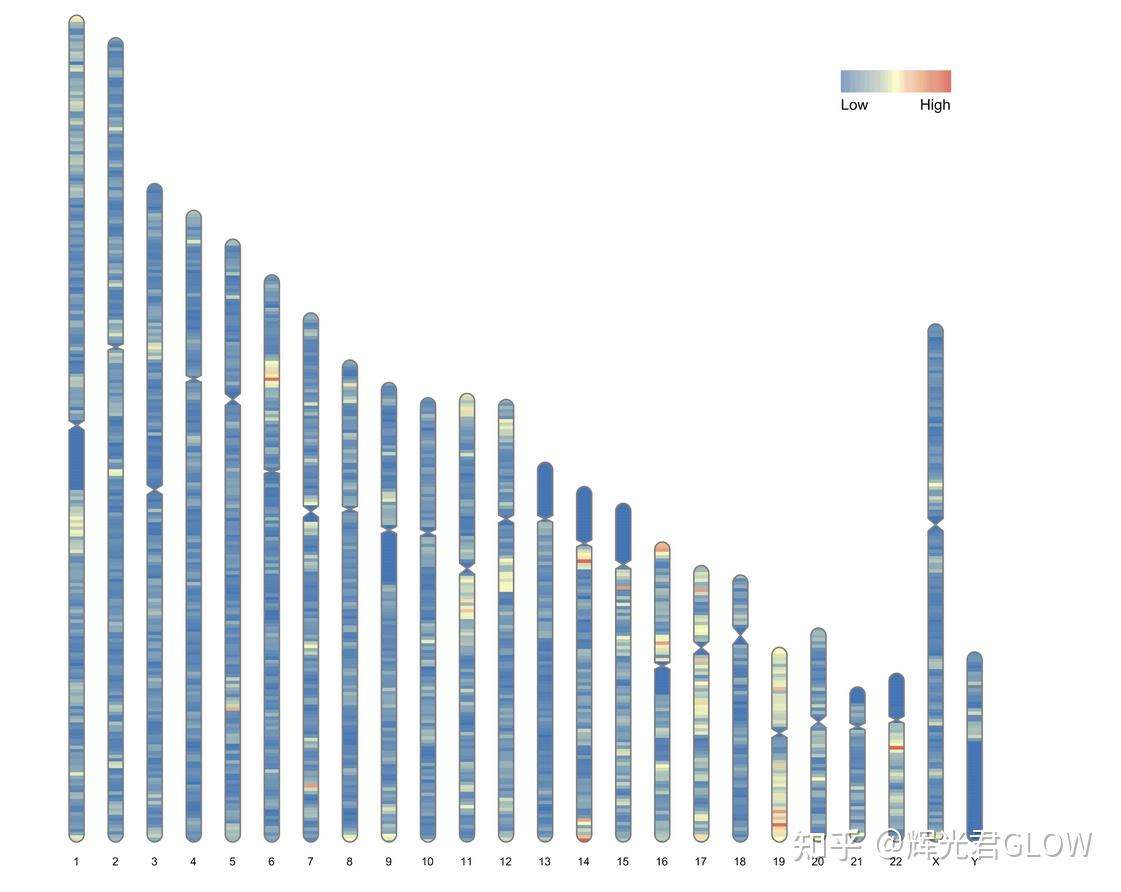 生信软件5 - RIdeogram包绘制染色体密度图 - 知乎