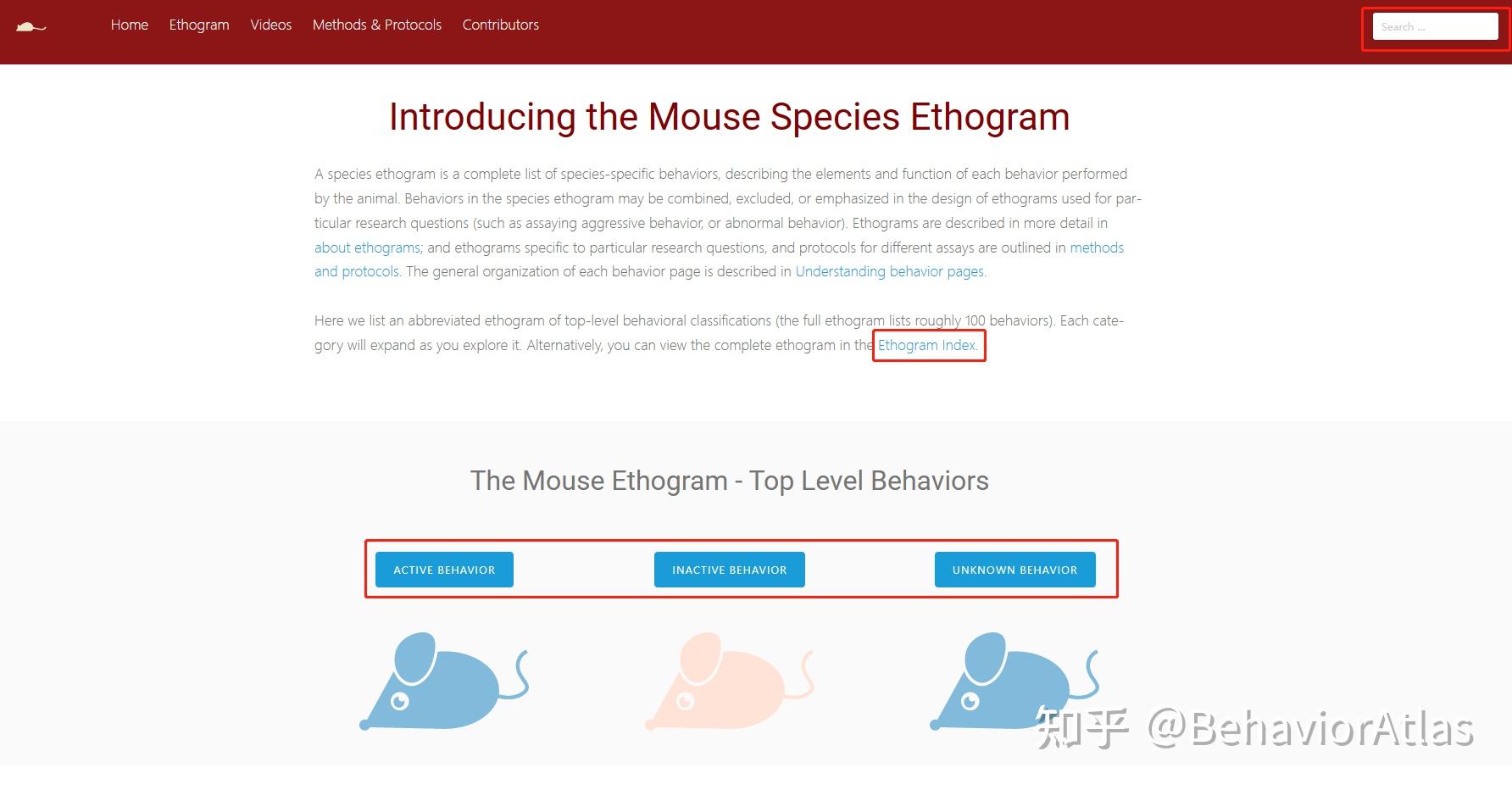 「Ethogram/行为谱」是什么？ - 知乎