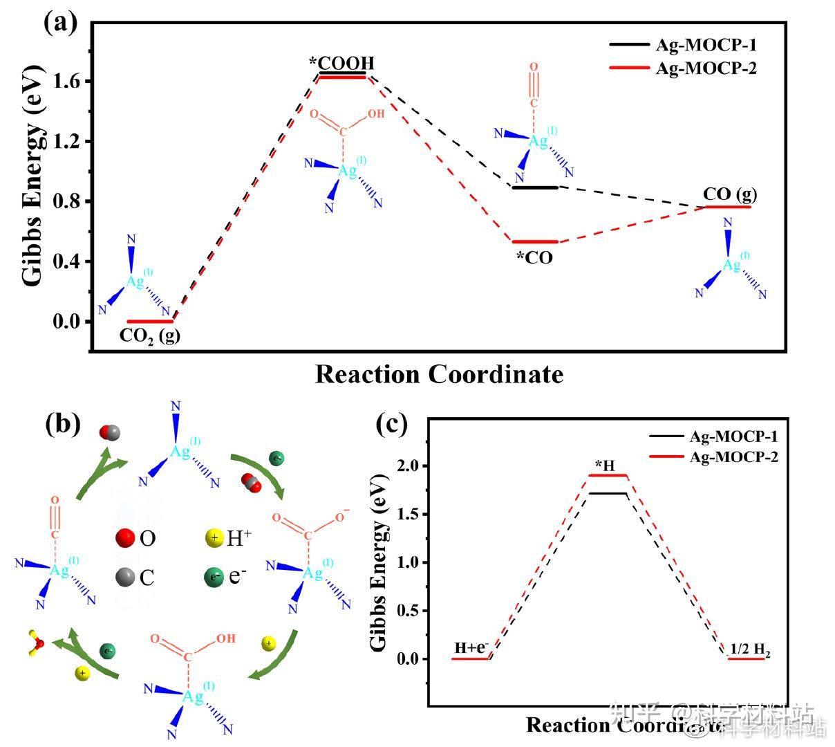 福建师范大学张章静团队CEJ：具有多维电子转移通道的Ag有机配位聚合物促进CO2电还原 - 知乎