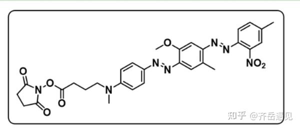 cas:916753-61-2|BHQ-1 NHS|BHQ-1琥珀酰亚胺酯|Black Hole Quencher-1 NHS|BHQ-1 ...