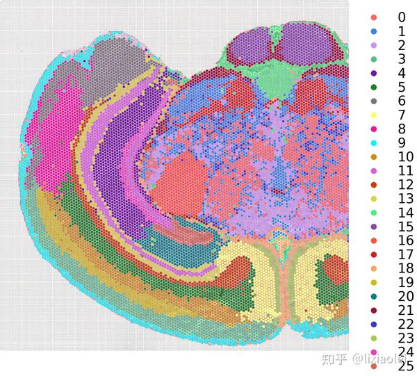 使用stLearn对百创S1000空间转录组数据做空间轨迹分析 - 知乎