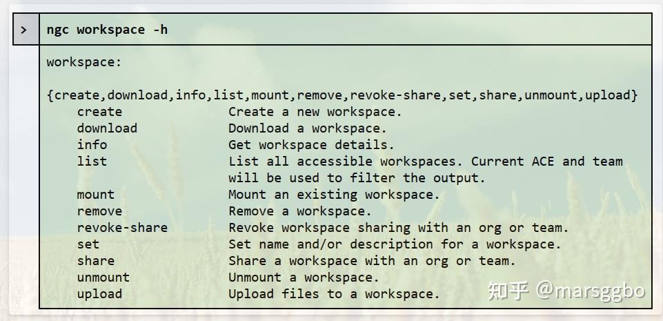 NVIDIA GPU Cloud (NGC)集群使用笔记 - 知乎