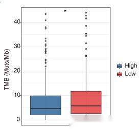 一篇science引出一个潜在生信热点— —三级淋巴结构（TLS），创新性高、生信发文空间巨大，看到就是赚到！ - 知乎