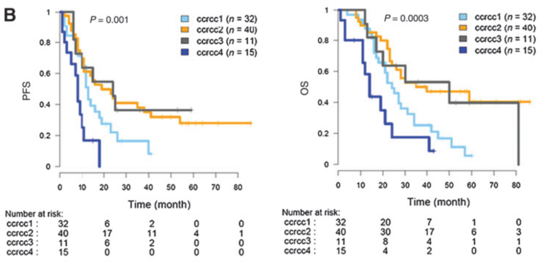 学术前沿 | 【Lancet Oncol】基于ccRCC不同分子分型选择最有效一线治疗策略具有可行性 - 知乎