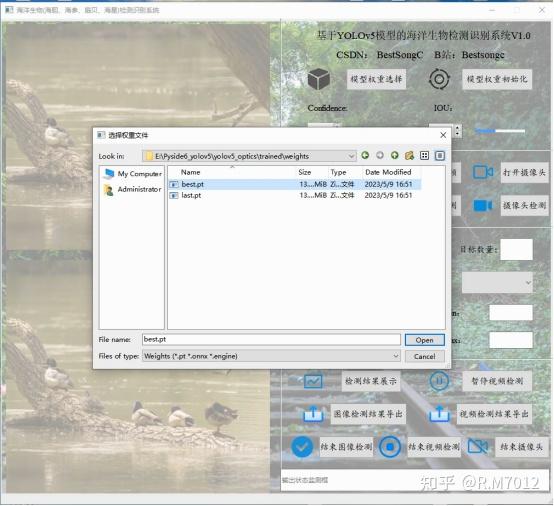 基于深度学习的高精度海洋生物检测识别系统(pytorchpyside6yolov5模型) 知乎 6703