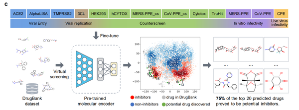 Nat.Mach.Intell | ImageMol: 精准预测分子性质和药物靶标的自监督学习框架 - 知乎