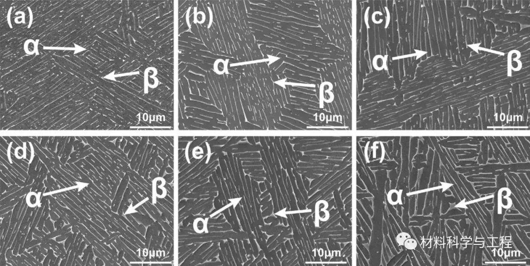 南京工大《JMST》：含铁TC4钛合金的组织强韧化机理！ - 知乎