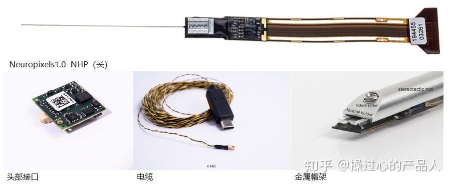 一文读懂（1）- Neuropixels - 知乎