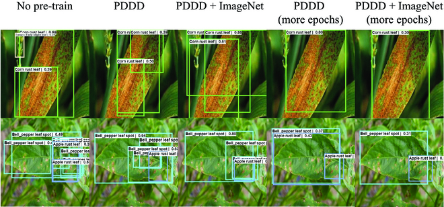 PDDD-PreTrain：系列预训练模型用于支持基于图像的植物病害诊断 - 知乎