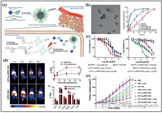 《AHM》综述：药物自给药系统--分子设计、构建策略及生物应用 - 知乎