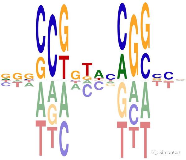 MotifStack：多motif序列比较和可视化 - 知乎