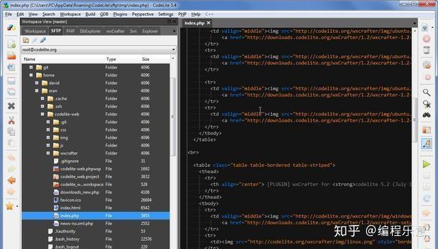 13个程序员的最佳IDE，是你常用的吗？ - 知乎