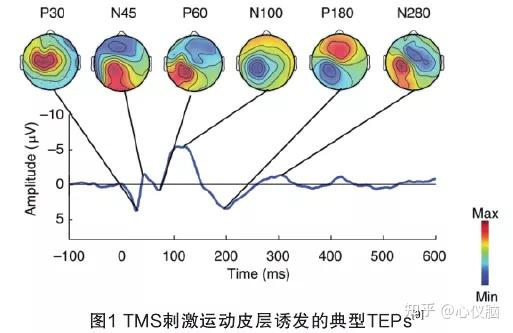 TMS-EEG概念介绍 - 知乎