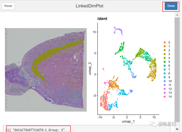 SCS【21】单细胞空间转录组可视化 (Seurat V5) - 知乎