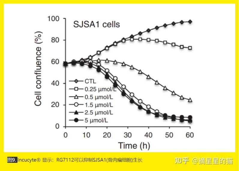 Incucyte实时活细胞成像系统在药物临床前研究中的作用 - 知乎