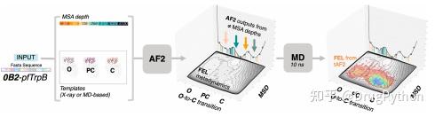 JACS|阐明酶构象灵活性的AlphaFold2等深度学习及其在设计中的应用 - 知乎