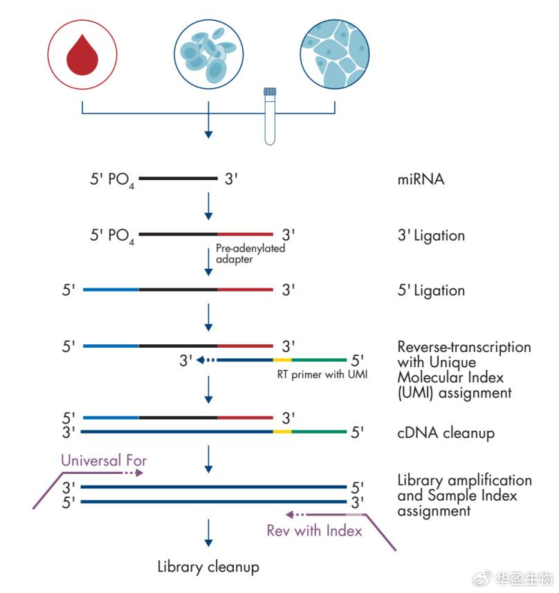 外泌体miRNA测序服务 - 知乎