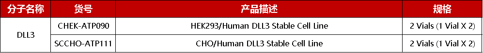 双抗疗法再进一步！全球首款DLL3双抗瞄准SCLC二线治疗 - 知乎