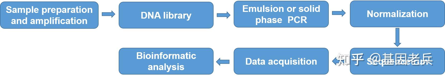 HLA Typing介绍 - 知乎