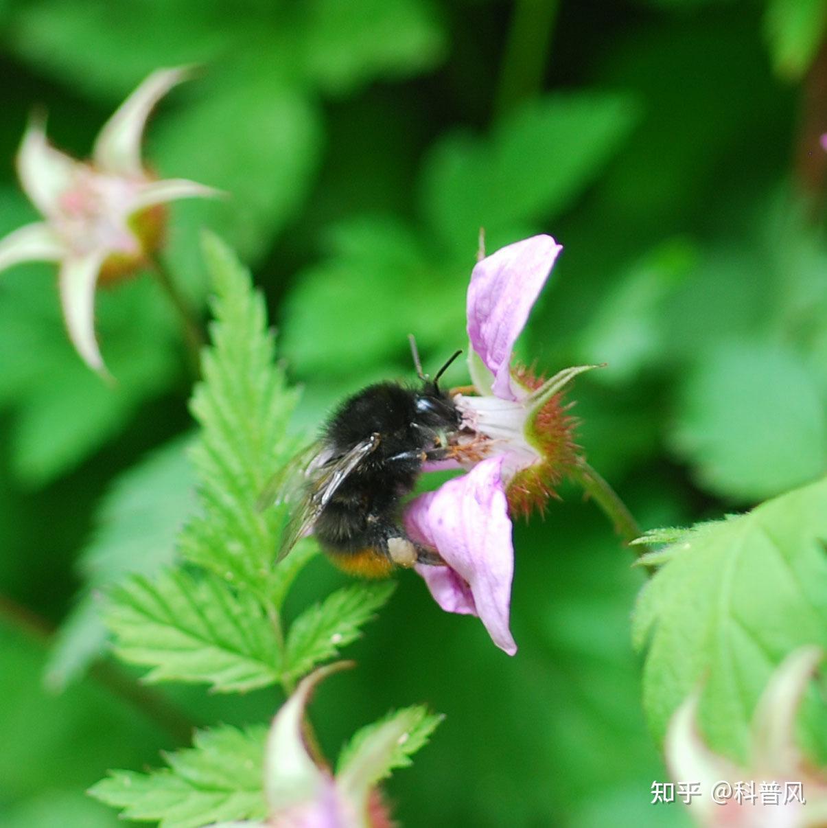 睡使惩崩——伦清 - 知乎
