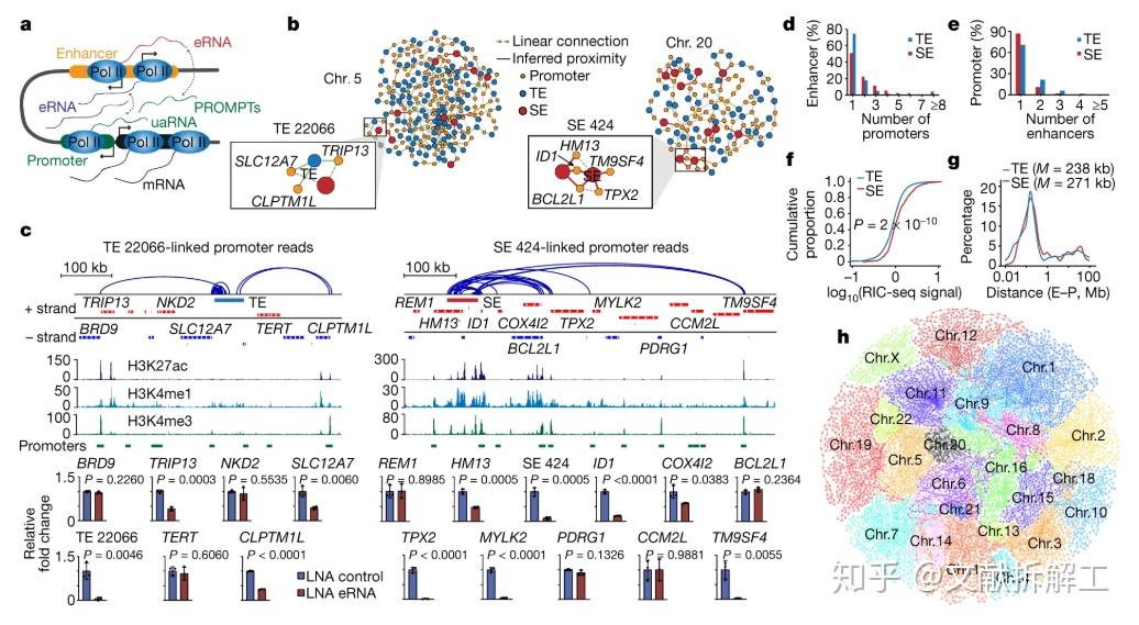 【Nature论文拆解】RIC-seq——全景式解析细胞内RNA原位高级结构作用新技术 - 知乎