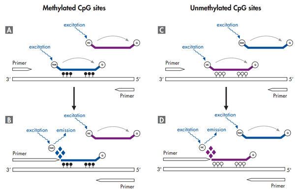 Make Decision: DNA甲基化检测方法，哪一款适合你？ - 知乎