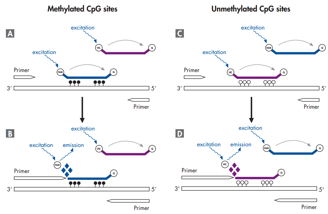 Make Decision: DNA甲基化检测方法，哪一款适合你？ - 知乎
