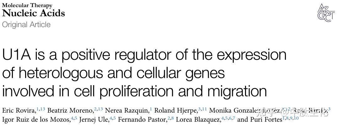 Molecular Therapy Nucleic Acids: U1a是参与细胞增殖和迁移的异源基因和细胞基因表达的正调控因子 - 知乎