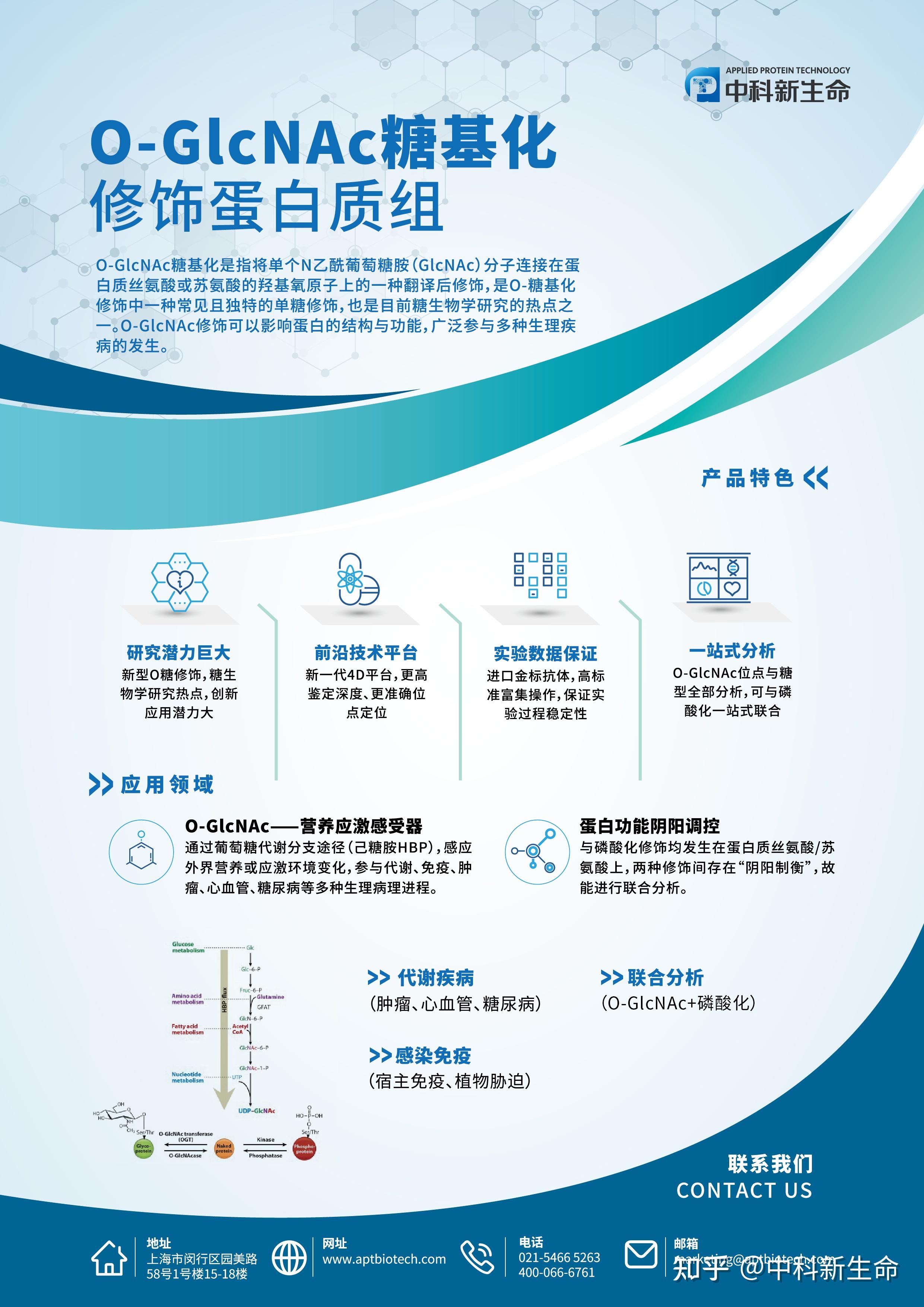 IF 40+顶刊宠儿？搭上O-GlcNAc糖基化快车，横扫肿瘤&作物两大领域！ - 知乎