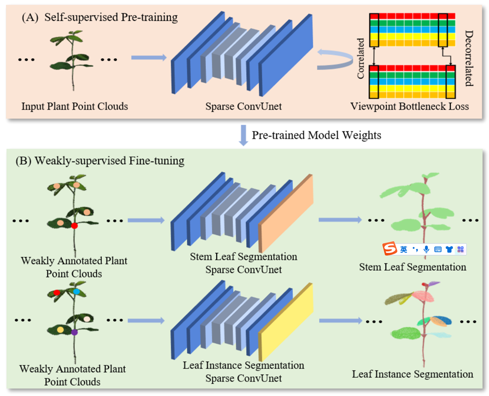 Eff-3DPSeg：使用高效注释点云的三维器官级植物芽分割 - 知乎