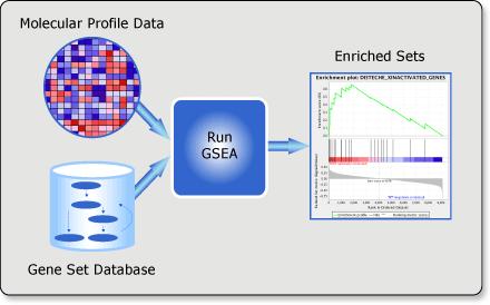 【工具】GSEA分析RNA-seq数据 - 知乎