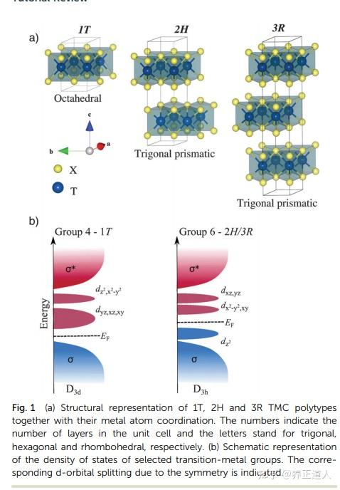 《每日较真：1T 2H 3R相 到底TMD什么意思》 - 知乎