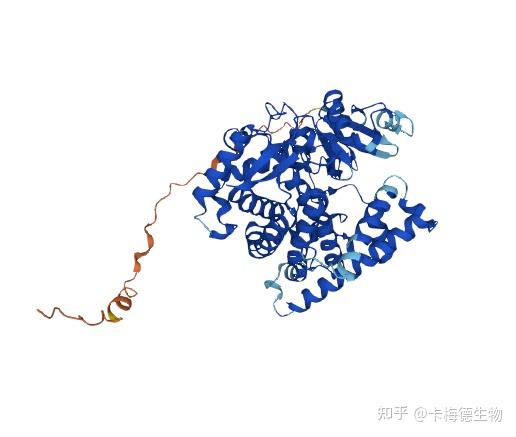 25羟维生素D（25-OH）介绍 - 知乎