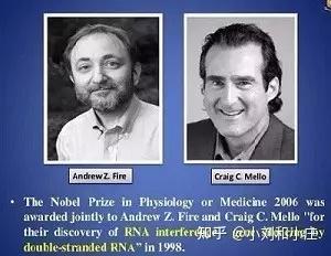 零基础SCI绘图（18）RNAi实验出图之实验篇 - 知乎