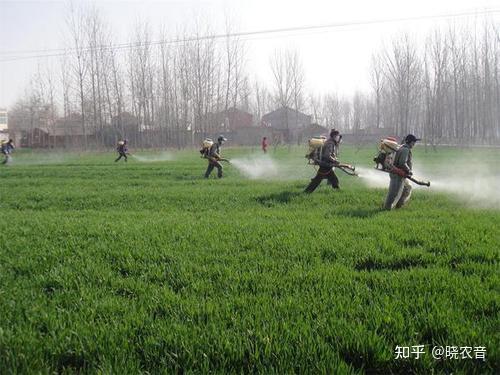 如何正确选购和使用农药？ - 知乎